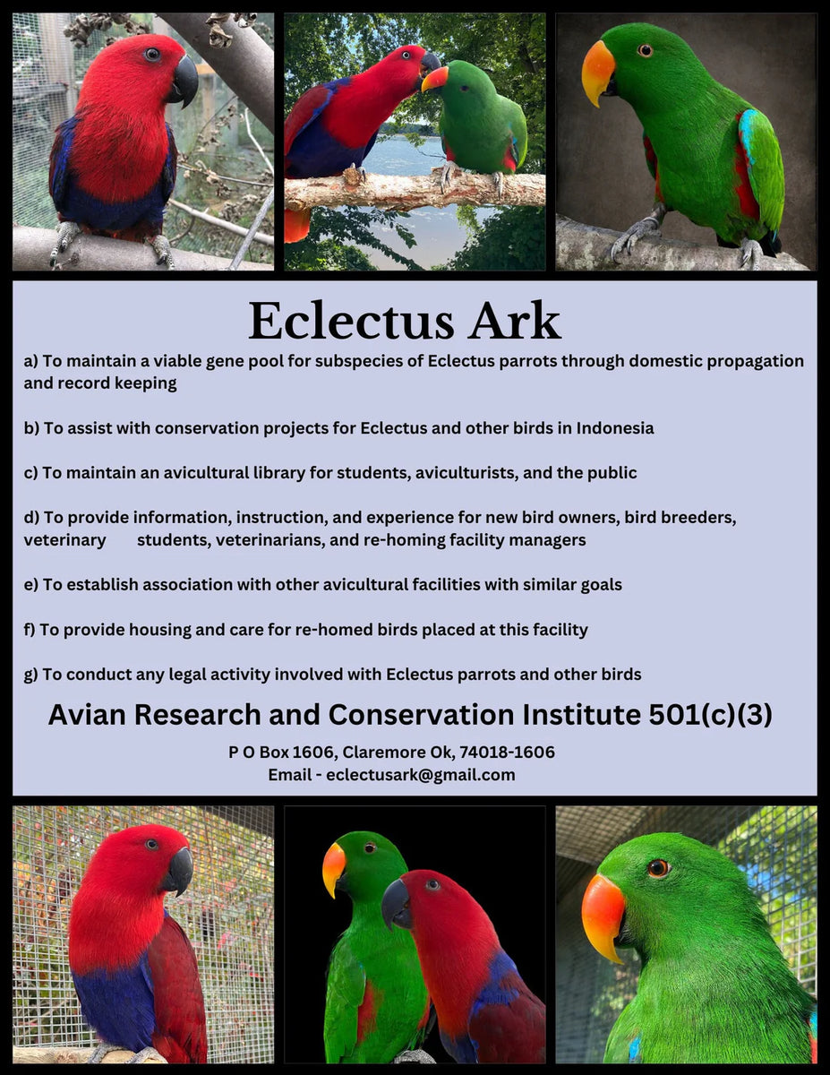 Freeze Dried Sprouts Original - For All Parrots | Eclectus Ark – All ...