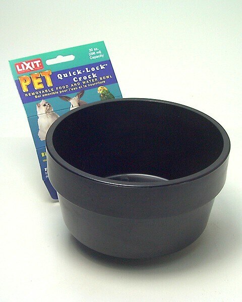 Lixit Crocks The Quick Lock Crock 20 Oz – All Parrot Products